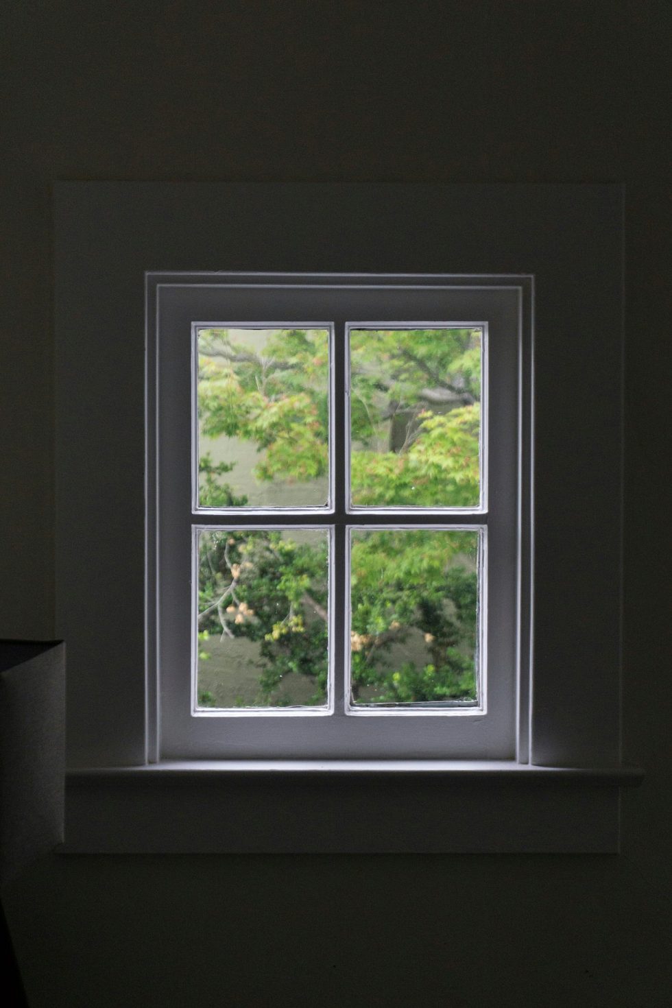Understanding Your Window of Tolerance: A Career Survival Guide for ...